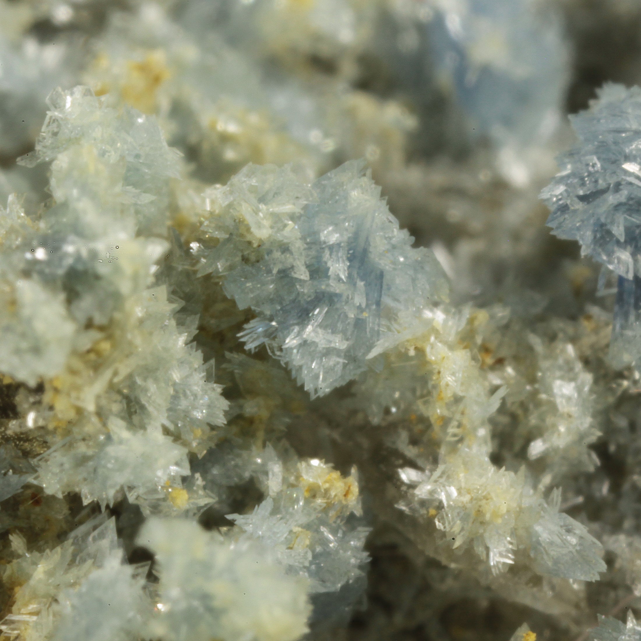 Vauxite with Paravauxite, Metavauxite and Sigloite – Brian Kosnar ...